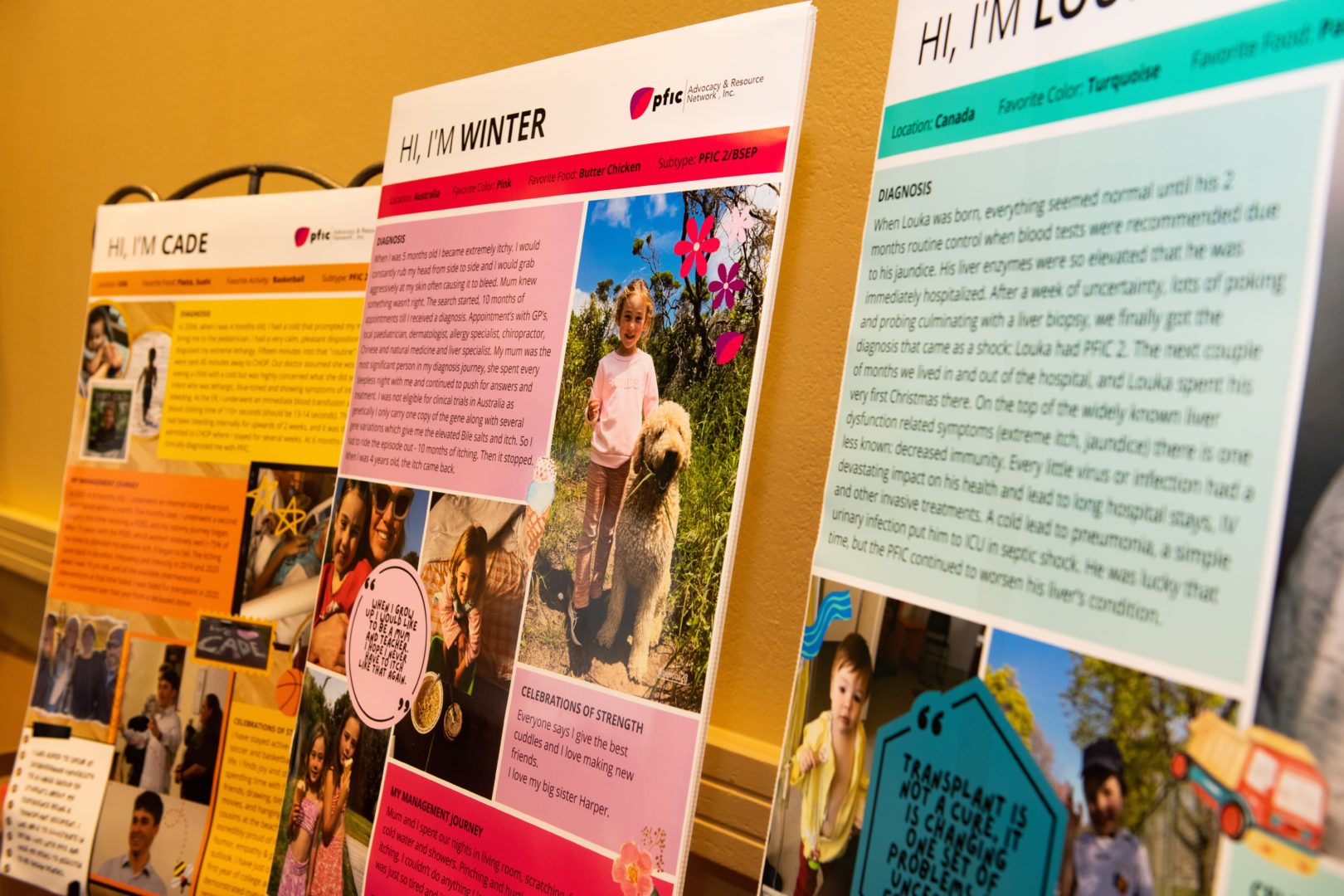 PFIC Network Conferences - PFIC | Events